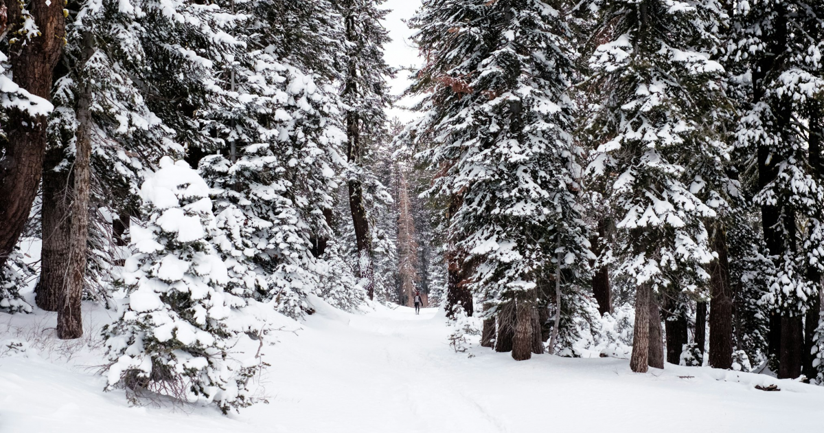 Citește despre Ninsoare în Dicționarul nostru Meteorologic - Informații ...